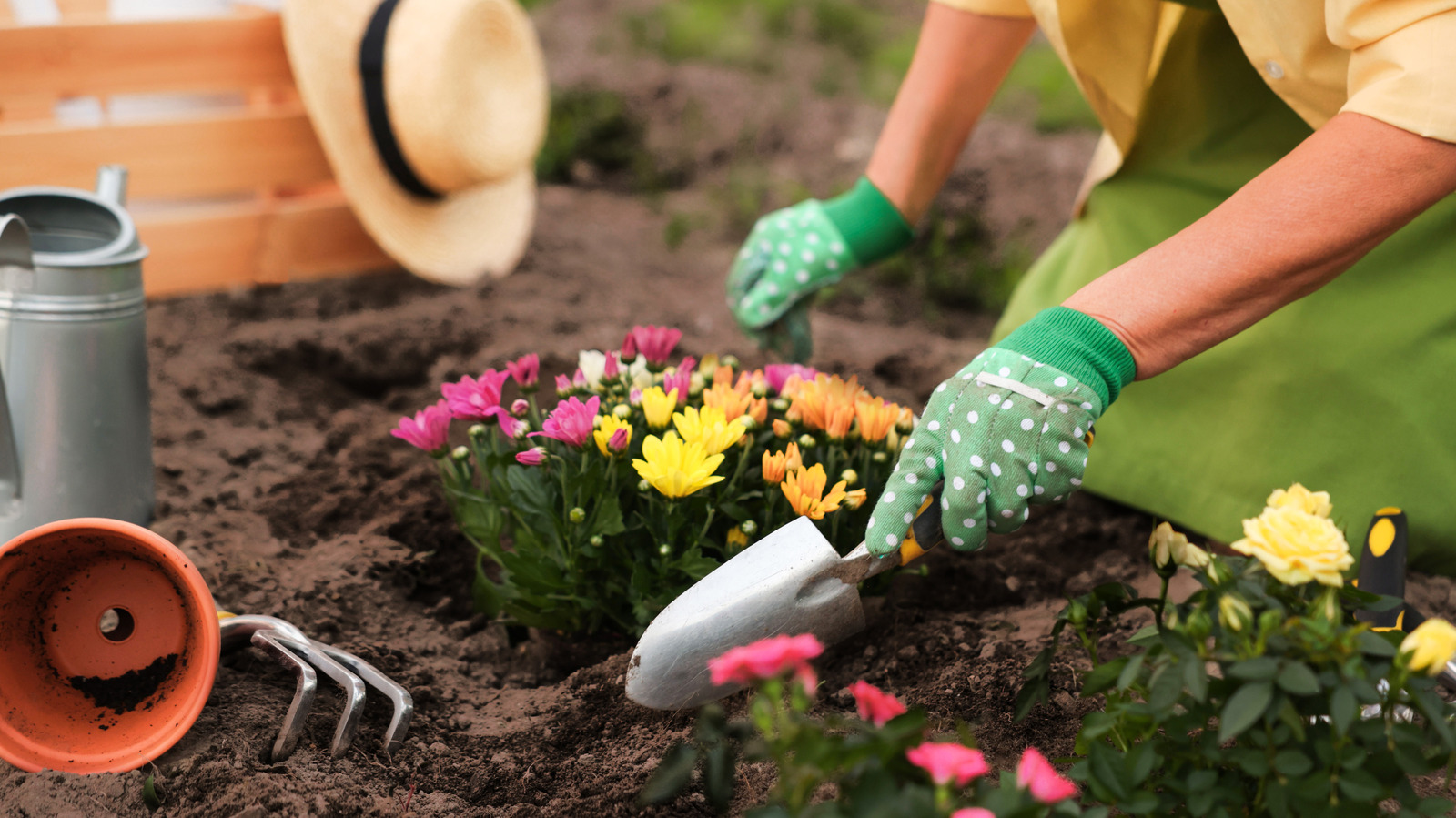 Exactly When To Start Planting For Spring 2026, According To The Old ...