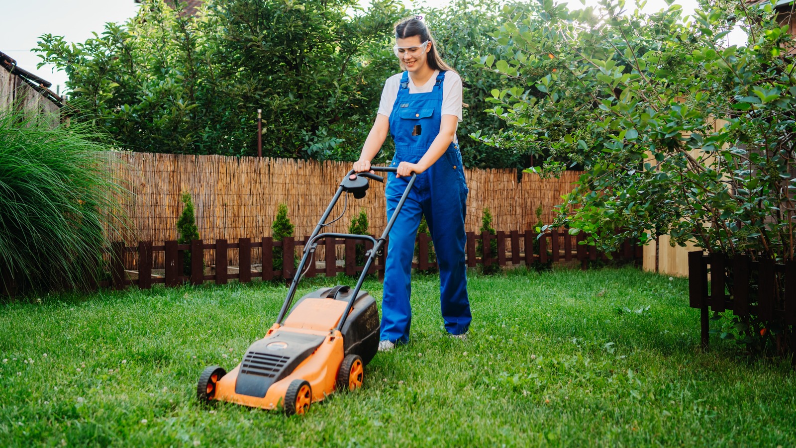 Give Your Yard A Colorful Upgrade With This Eye-Catching Grass Alternative