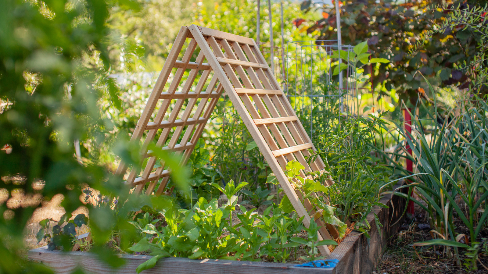 How To Build A Garden Trellis Without Buying New Materials