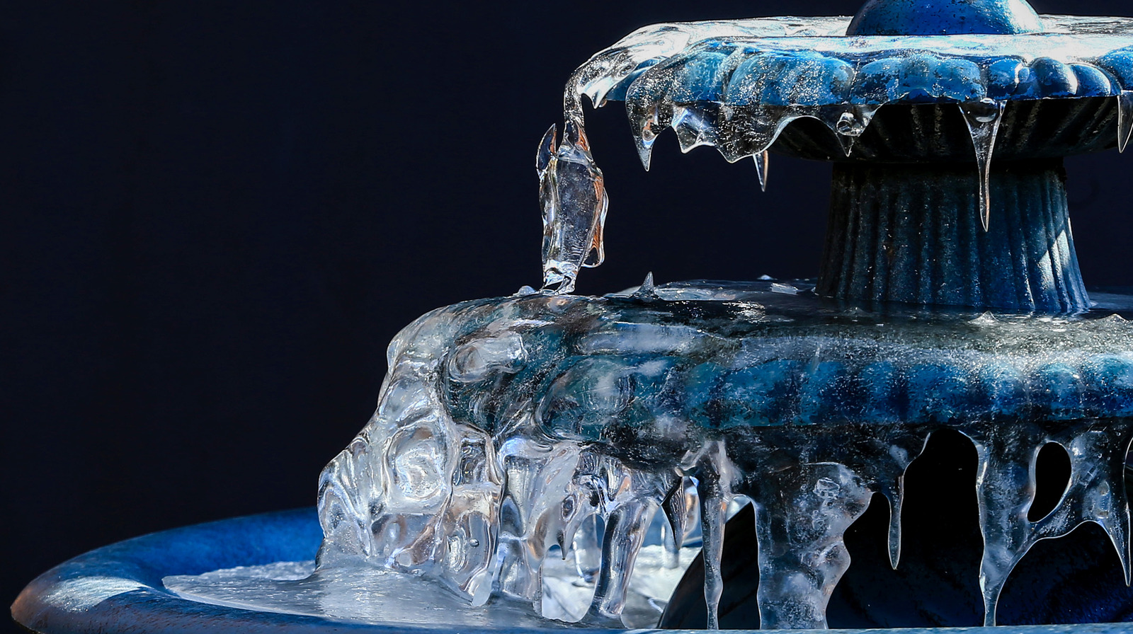 Keep Birds Happy This Winter With An Alternative Solution To Frozen ...