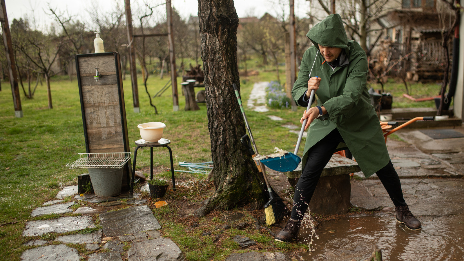 Manage Excess Water In Your Yard With A Gorgeous Tree That Will Drink It Up