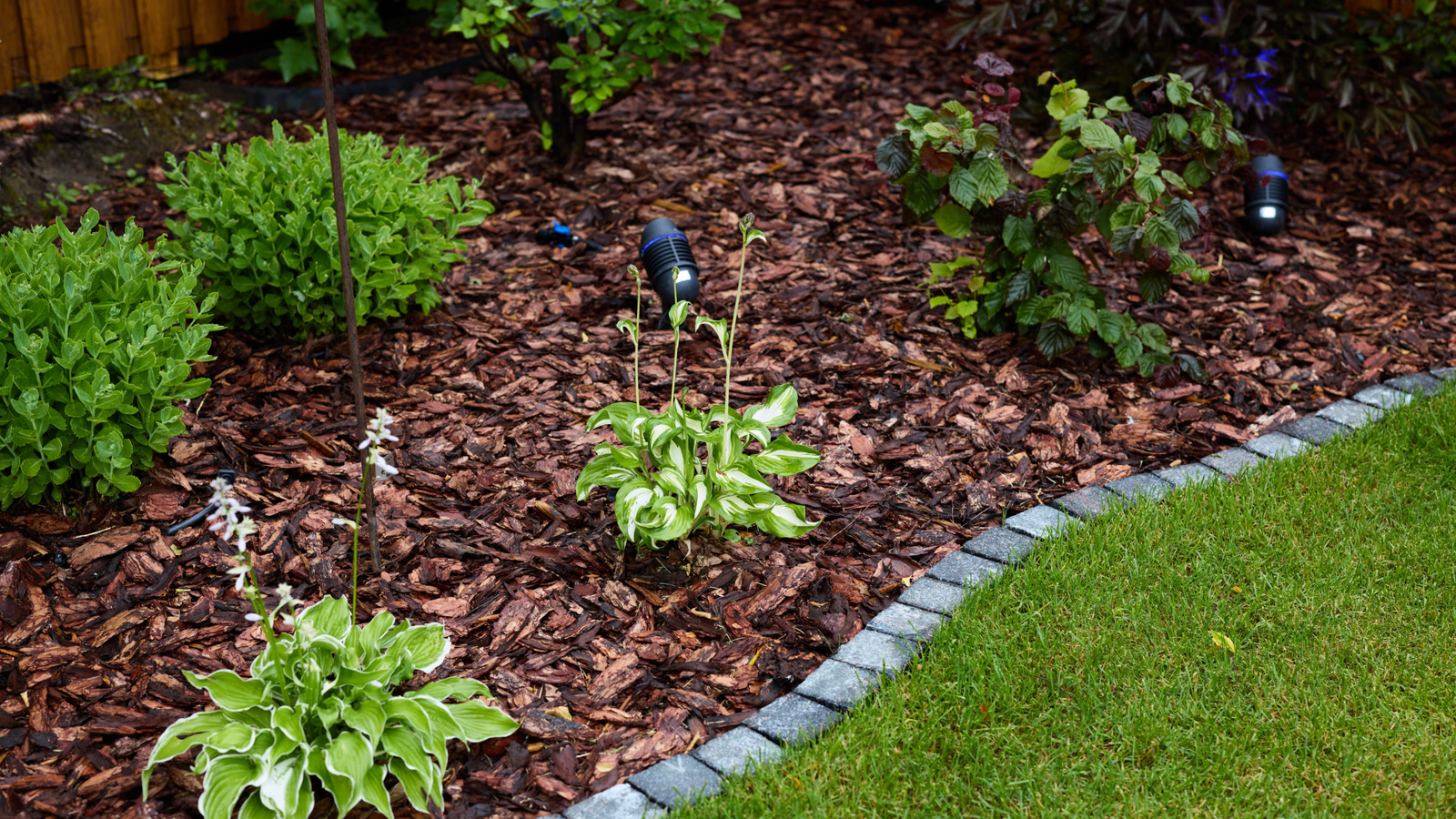 The Average Lifespan Of Your Gardening Mulch