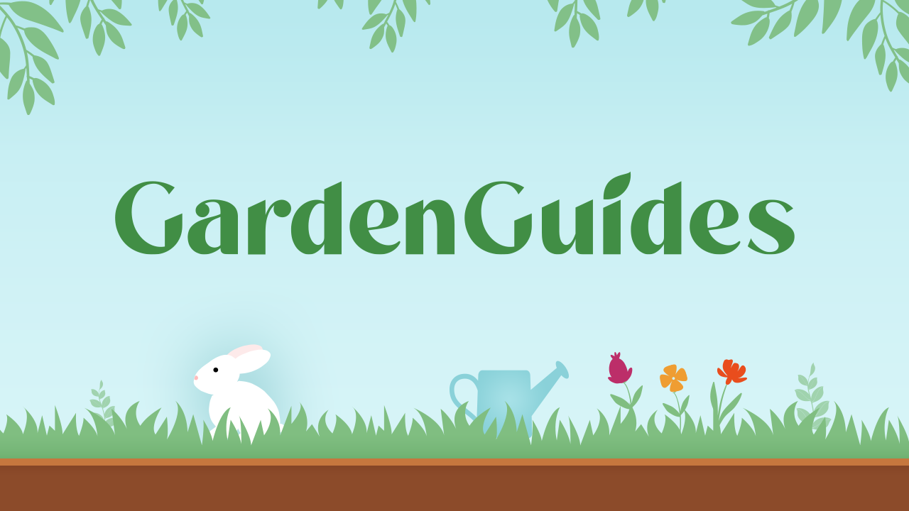 Shrubs Garden Guides